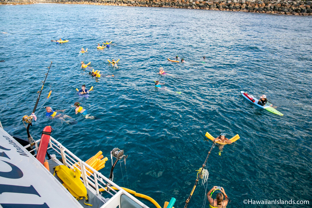 Ultimate Guide to Snorkeling in Molokini Crater - Maui, HI