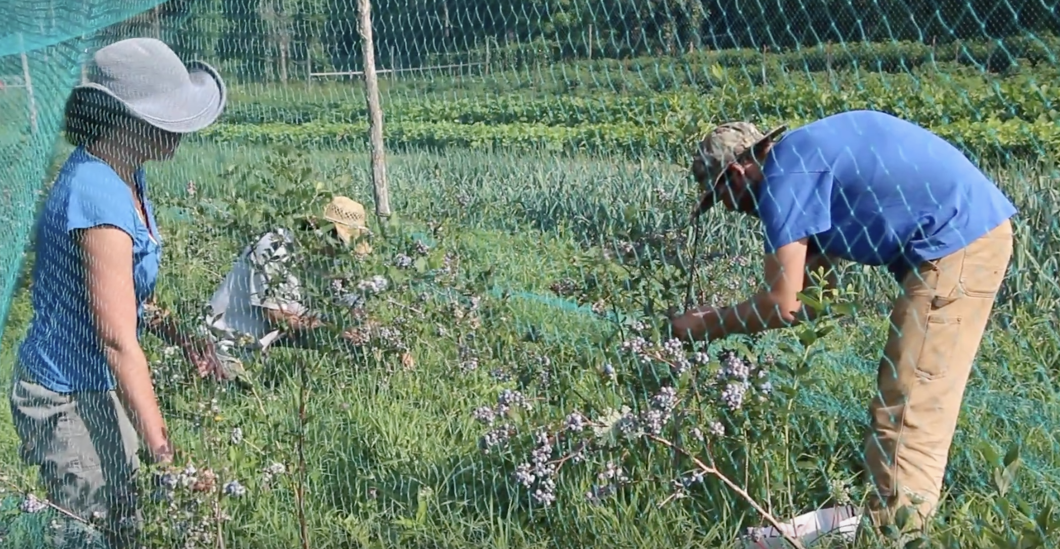 Rooted in Nature | Hebrew College