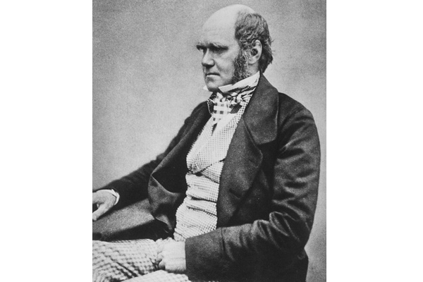 A Key Turning Point in Darwin’s Thinking – And It Didn’t Happen in the ...