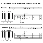 Chromatic Theory: A Guide to Chromatic Scales and Chord Progressions