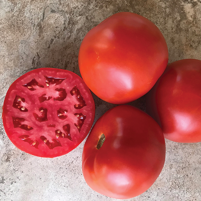 Roadster Hybrid Tomato, Tomatoes: Horticultural Products & Services