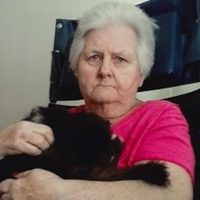 Helen Spinelli Gainey – Kershaw County, South Carolina History