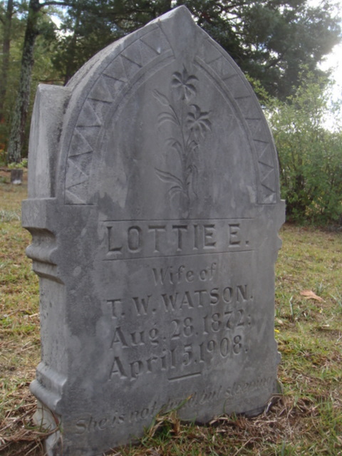 Charlotte Estelle “Lottie” Moore Watson – Kershaw County, South Carolina History