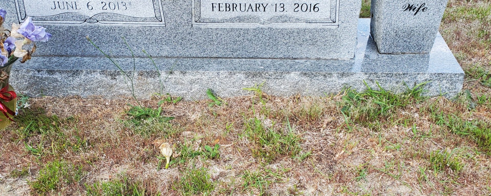 Martha Ray Branham Crumpton – Kershaw County, South Carolina History