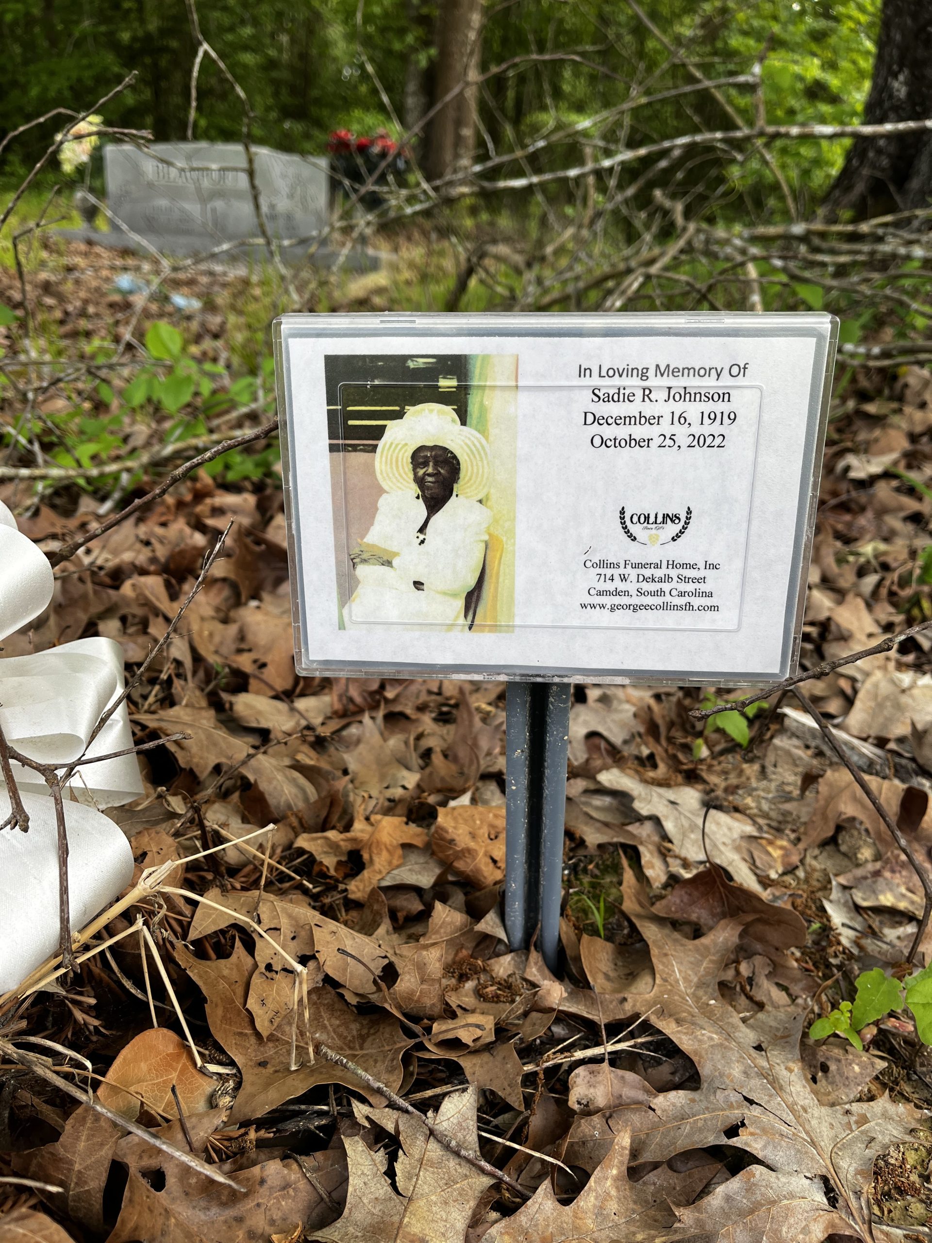 Sadie Reed Johnson – Kershaw County, South Carolina History