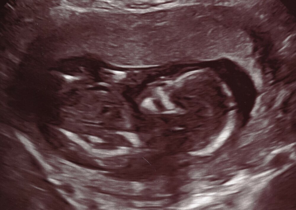 Phillip Michael Riggins, Jr. – Kershaw County, South Carolina History