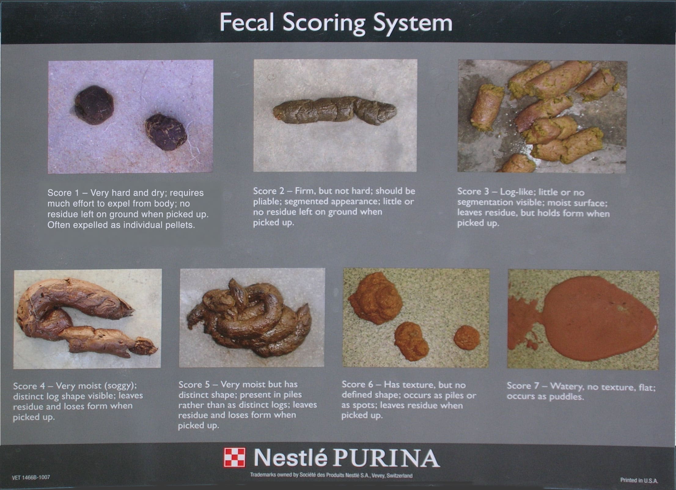 Fecal Scoring Chart by Nestle Purina | Keep the Tail Wagging