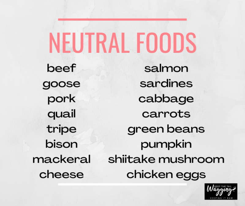 Read This Before Diving Into Warming/Cooling Foods for Your Dog