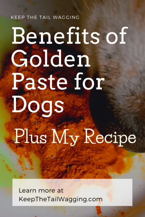 12 Benefits of Golden Paste for Dogs [Recipe] | Keep the Tail Wagging ...