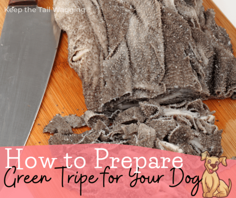 How to Prepare Green Tripe for Your Dog