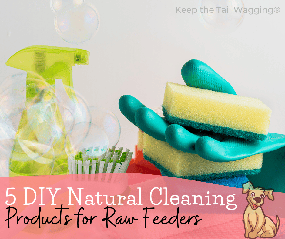 Blog About Raw Feeding, Dog Nutrition | Keep the Tail Wagging