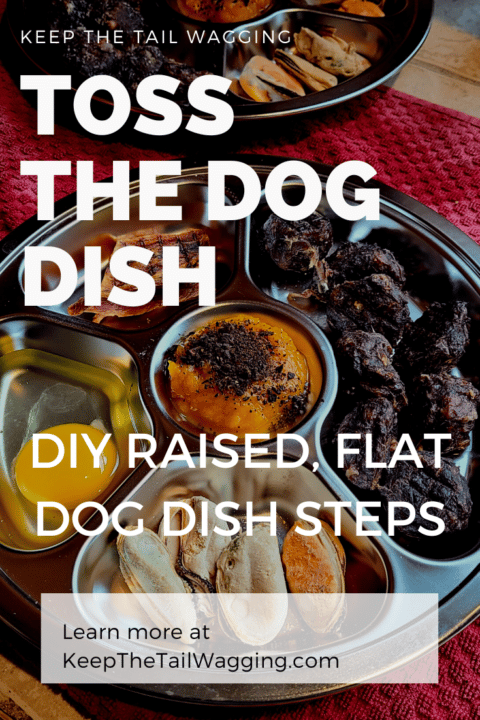 Toss Your Dog’s Bowl | DIY Raised, Flat Dog Dish (Steps)