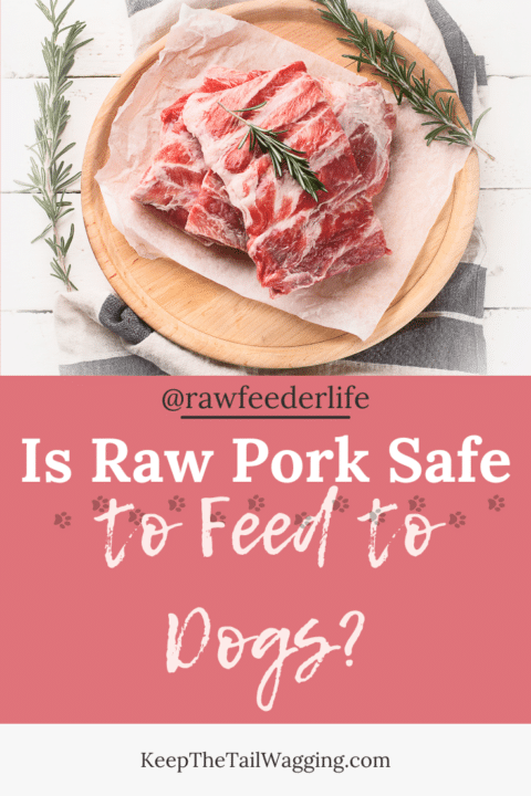 Is Raw Pork Safe to Feed to Dogs?