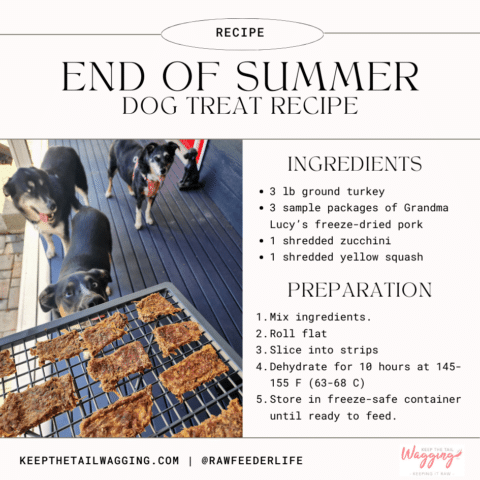 End of Summer Easy Dog Treat Recipe