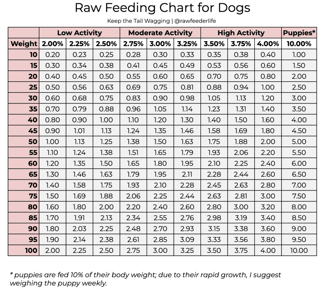 Simplify Feeding Dogs with this Easy Raw Feeding Chart