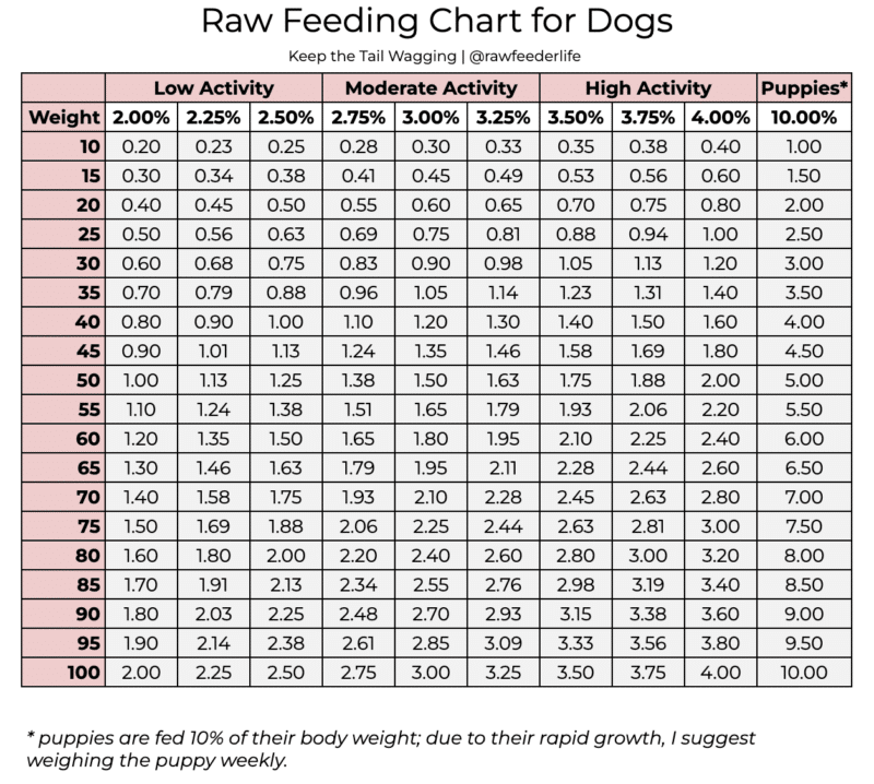 Simplify Feeding Dogs with this Easy Raw Feeding Chart