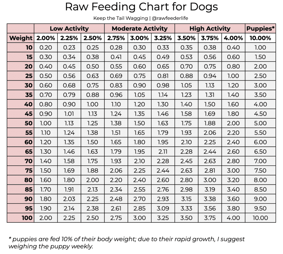 Simplify Feeding Dogs with this Easy Raw Feeding Chart