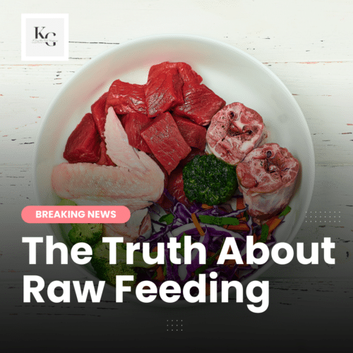 What You Need to Know About Whitefish in Dog Food