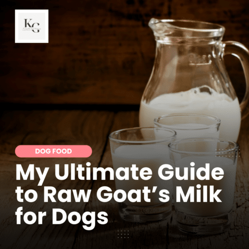 What You Need to Know About B Vitamins for Dogs