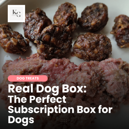 What You Need to Know About B Vitamins for Dogs