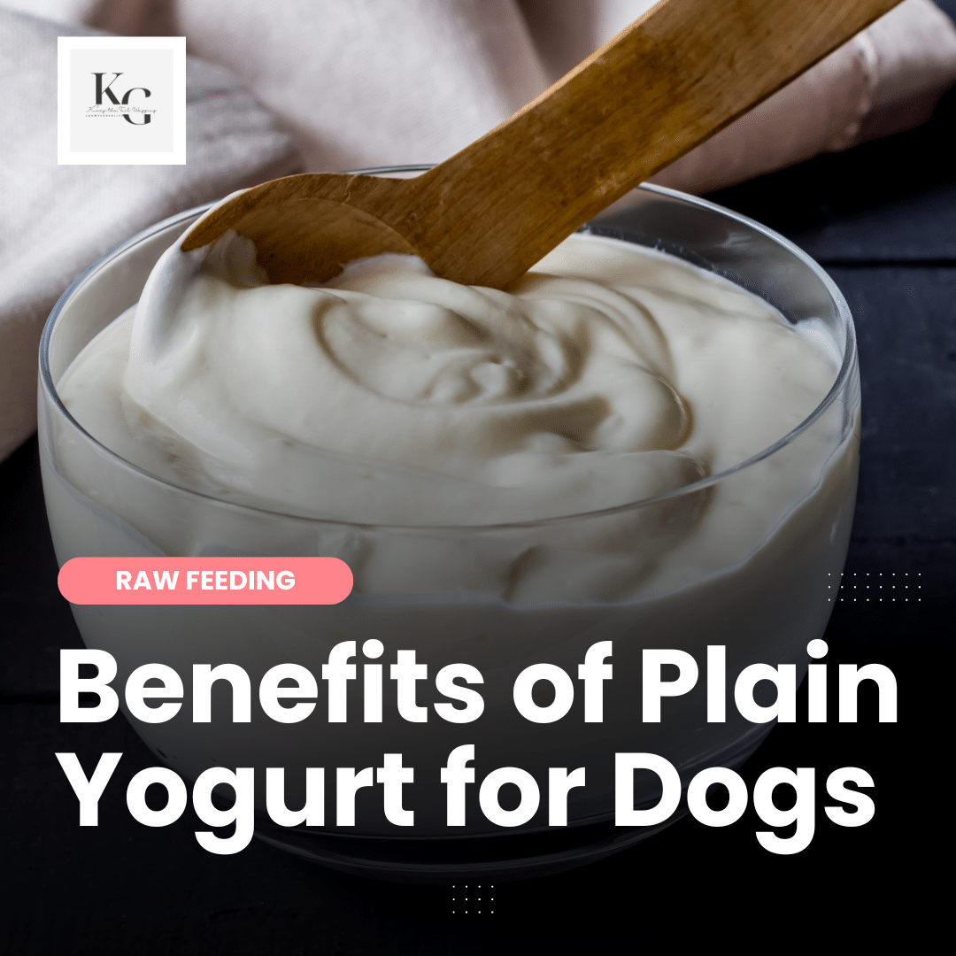 The Benefits of Plain Yogurt for Dogs (with Recipes)