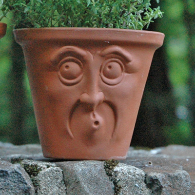 Face Pots - Surprised Face Pot