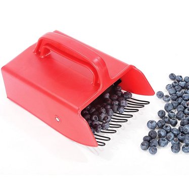 Berry Picker, Garden Accessories - Lehman's