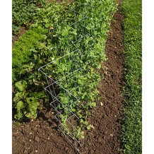 Pea Fence - Set of 2, Seeds and Planting - Lehman's