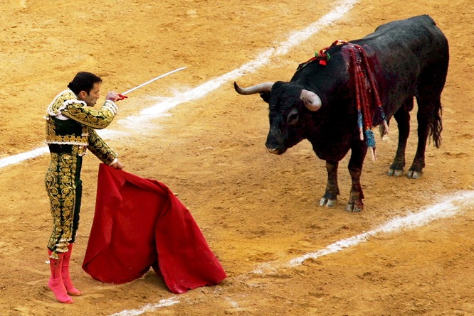 How to watch a bullfight - Matador Network