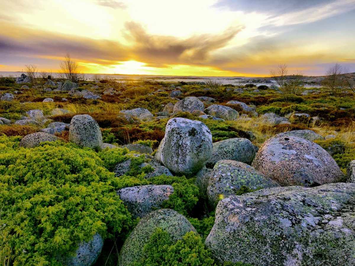 10 stunning images of the remote Finnish island of Utö - Matador Network