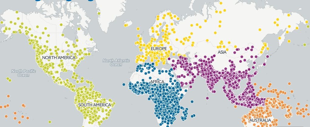Check out this map of all the languages currently spoken in the world.