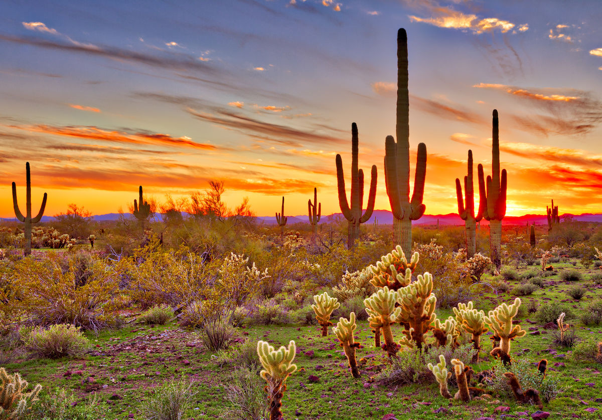 The best Phoenix parks and Sonoran Desert trails in Arizona