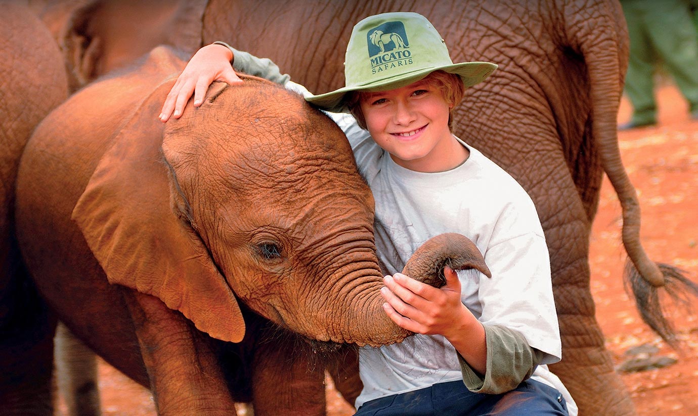 Extraordinary Wildlife Conservation Experiences on Safari - Micato Safaris