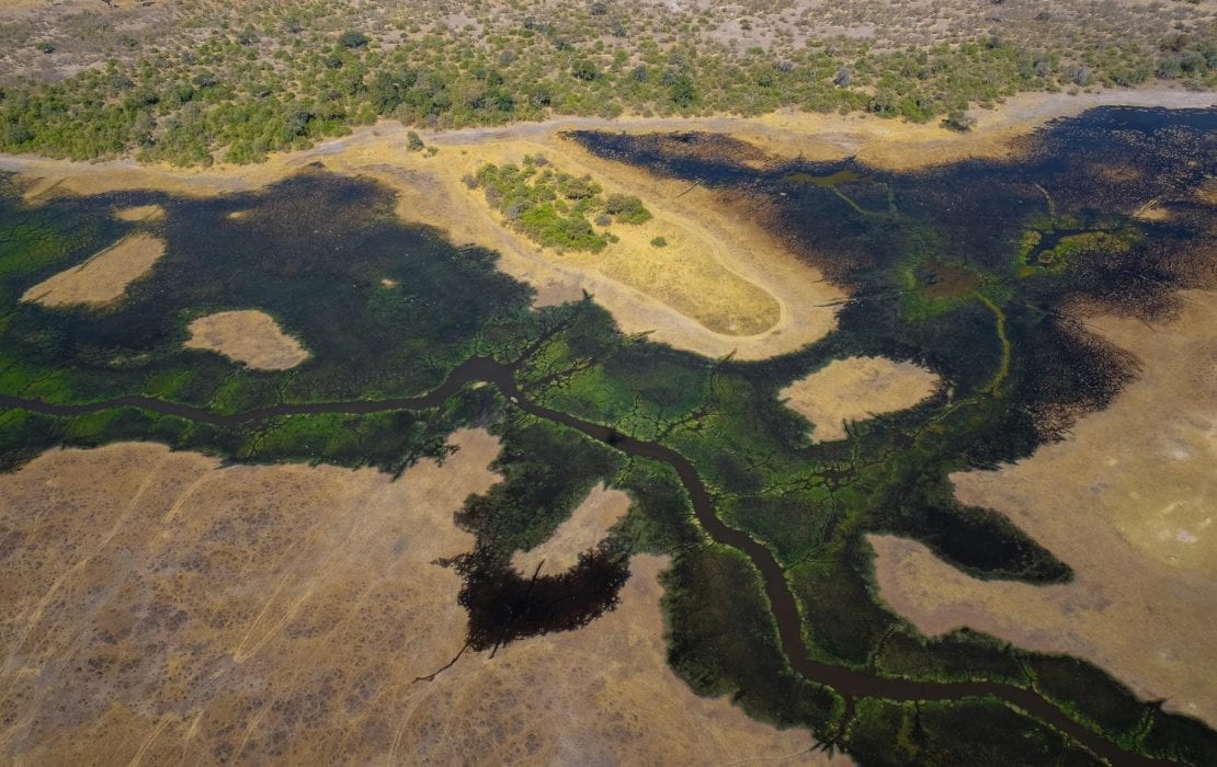 The Okavango Delta, Botswana - Luxury Africa Destination - Micato Safaris