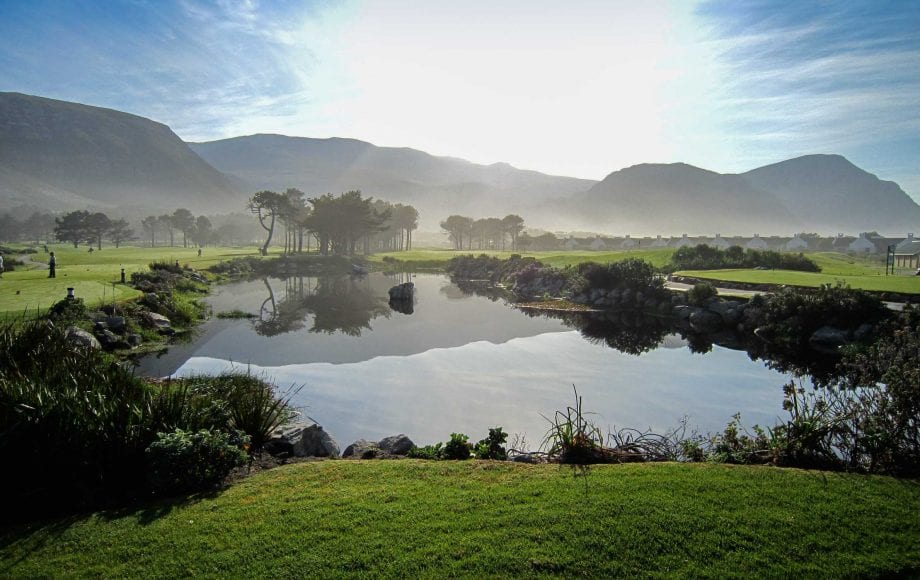 The Cape Floristic Region - Africa Destinations - Micato Safaris