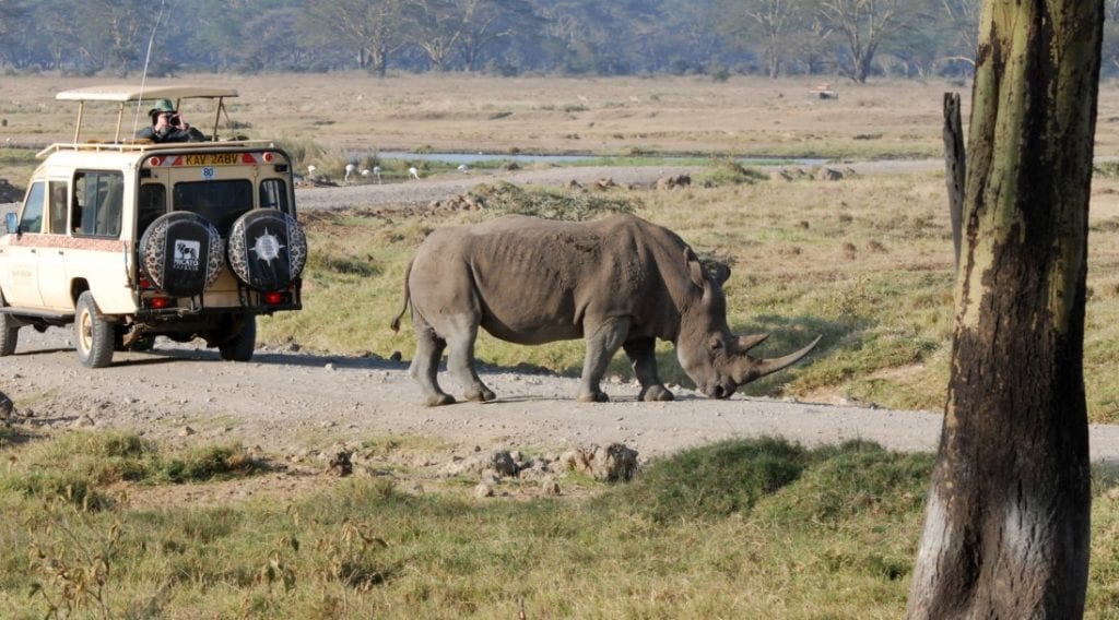 Solo Safari: A Luxury Micato Speciality-Micato Safaris