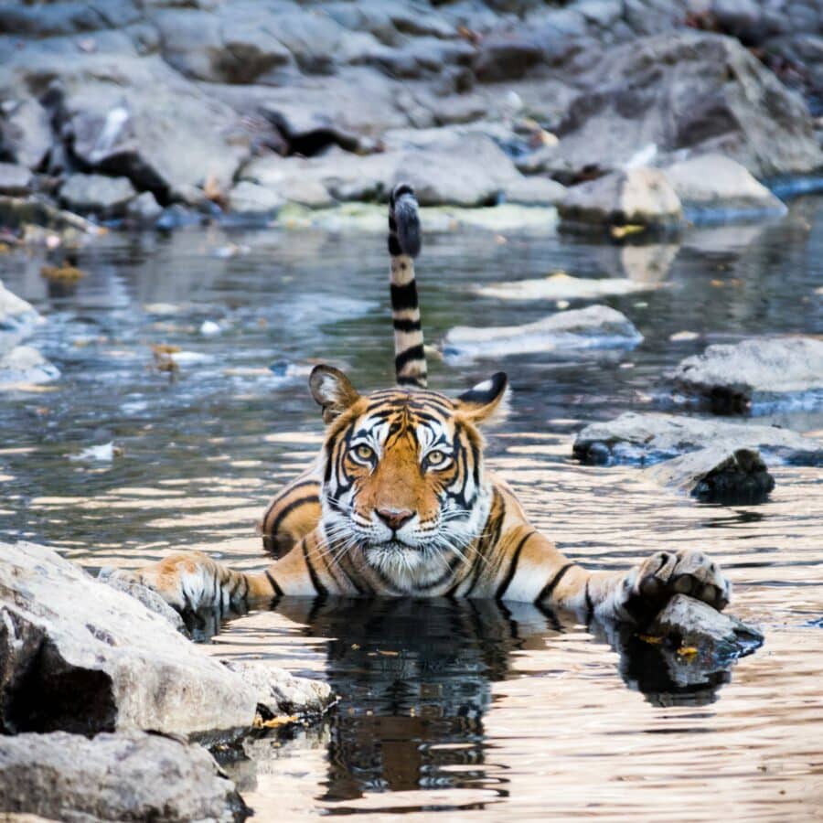 The 2024 Micato Hot List - Micato Musings - Micato Safaris