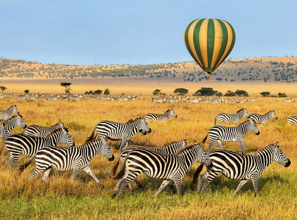 Luxury African Safaris and Tours | Voted #1 World's Best Safaris