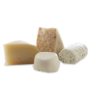 Cheese Selections: Mozzarella Company