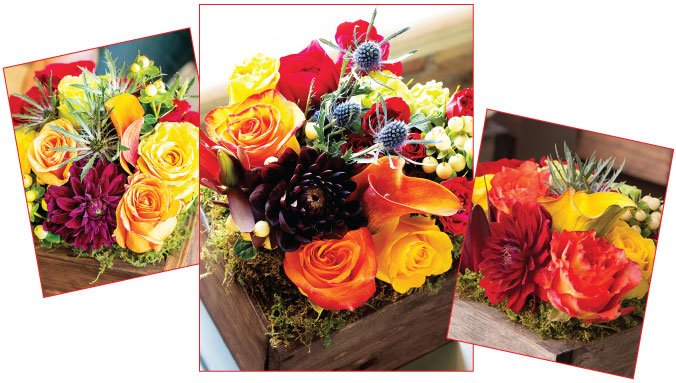 Unique Gifts, Flowers, and Gourmet Gift Baskets by Olive & Cocoa