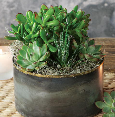 Unique Gifts, Flowers, and Gourmet Gift Baskets by Olive & Cocoa