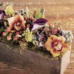 Floral Gifts - Unique Floral Arrangements - Flower Delivery - Olive & Cocoa