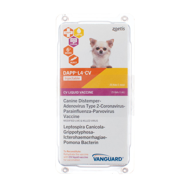 Vanguard Plus 5 L4 CV | Revival Animal Health