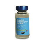 Dog Supplies | Vaccines | Kennel Cough - Bordetella | Revival Animal