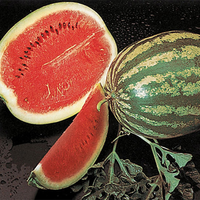 Crimson Sweet Watermelon, Watermelon Seeds: R.H. Shumway's Company