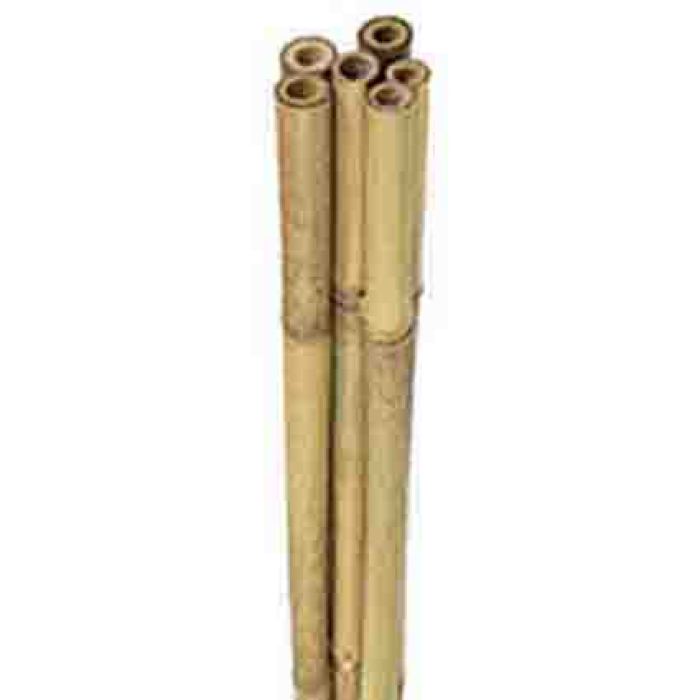 6 Foot Bamboo Plant Supports, Garden Supplies: R.H. Shumway's Company