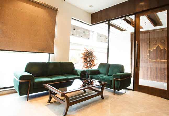 Xenious Hermitage Golden Lotus