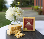 Cheddar Cheese