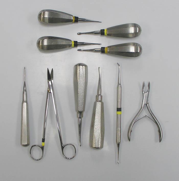 EXTRACTOR, DENTAL, SMALL ANIMAL, Instruments: shopmedvet.com