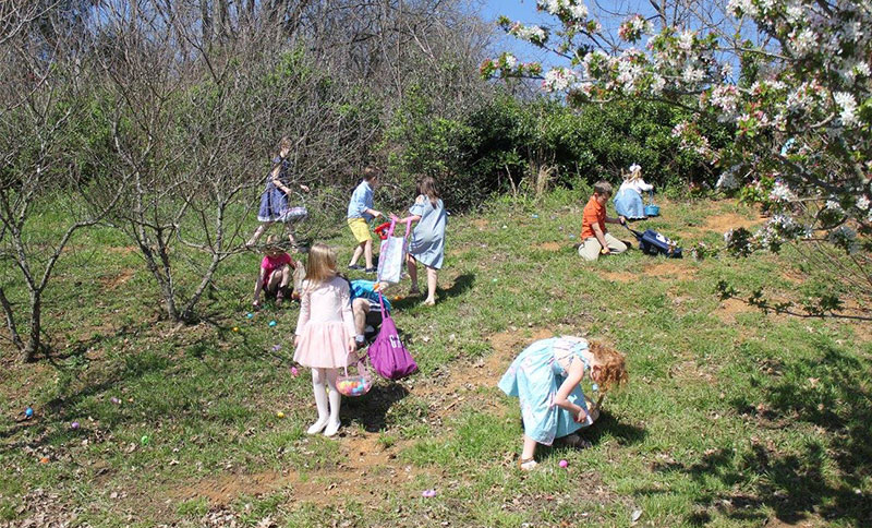 Spring Fling | Spring Meadows Church of Christ